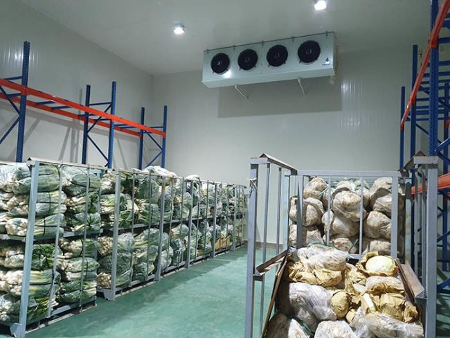 Pengenalan Cold Storage - Dewa Salju Cold Storage